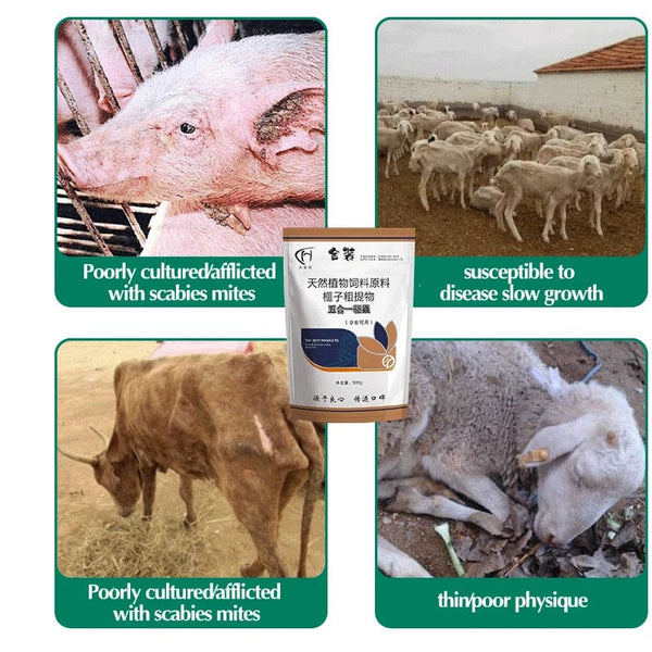 Livestock poultry pigs chickens fleas ticks blood-sucking worms intern ...