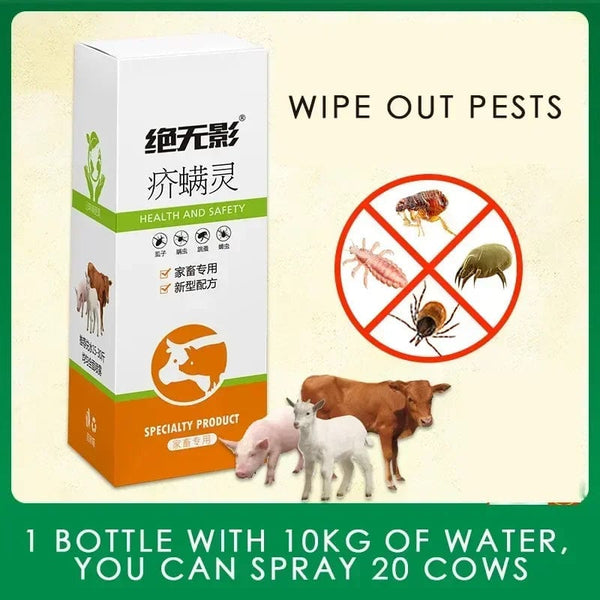 Livestock poultry pigs chickens fleas ticks blood-sucking worms intern ...
