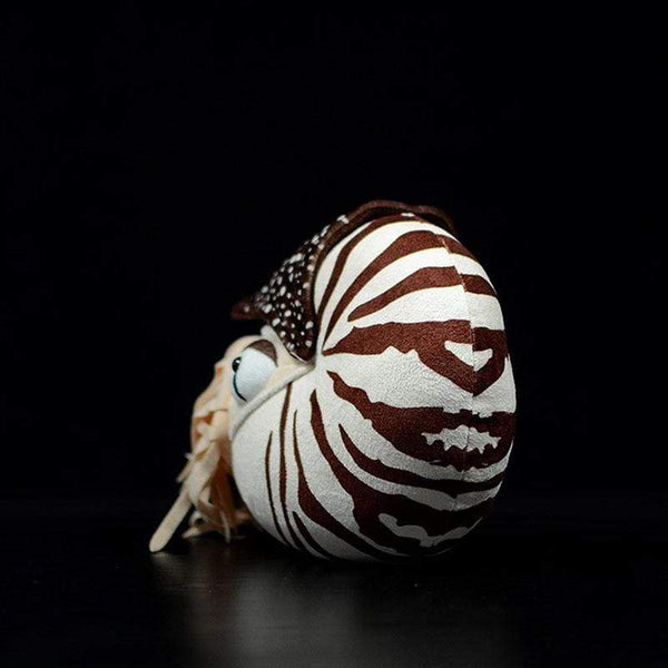 Lifelike Nautilus Plush Toys Real Life Chambered Nautilus Stuffed Anim ...