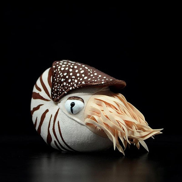 Lifelike Nautilus Plush Toys Real Life Chambered Nautilus Stuffed Anim ...